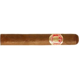Saint Luis Rey Regios
